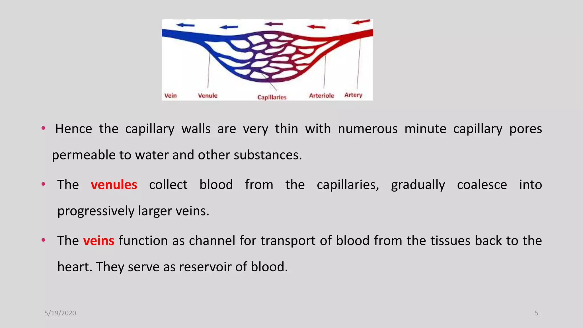 Blood supply of head and neck | PPTX