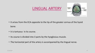 Blood supply of head and neck | PPTX