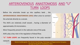 Blood supply of head and neck | PPTX