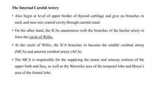 Blood Supply Of Head And Neck.pptx