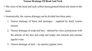 Blood Supply Of Head And Neck.pptx