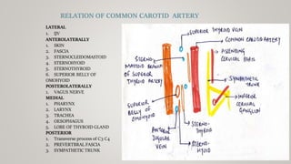 Blood supply of head and neck.pdf