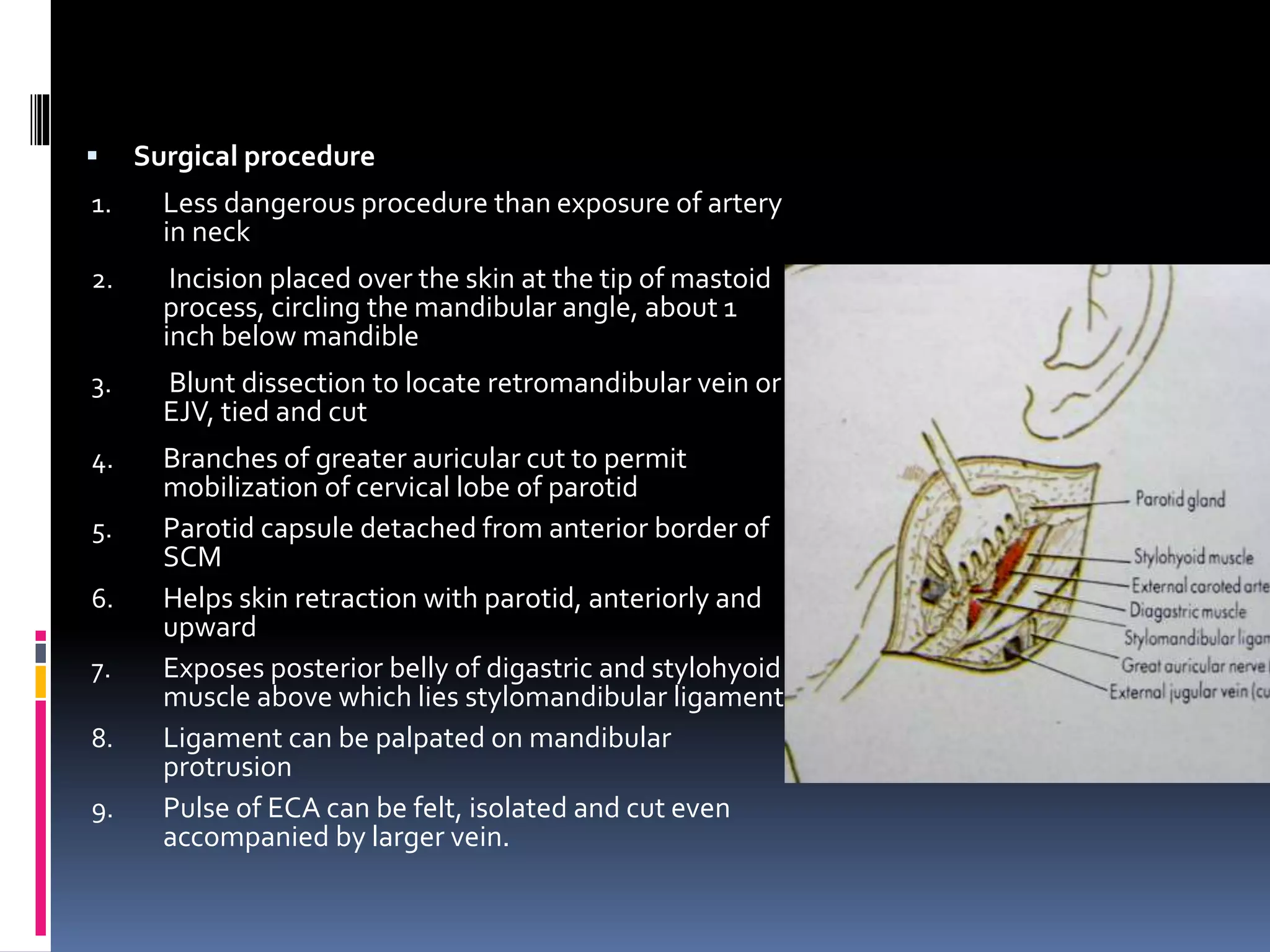 Blood supply of head and neck | PPTX