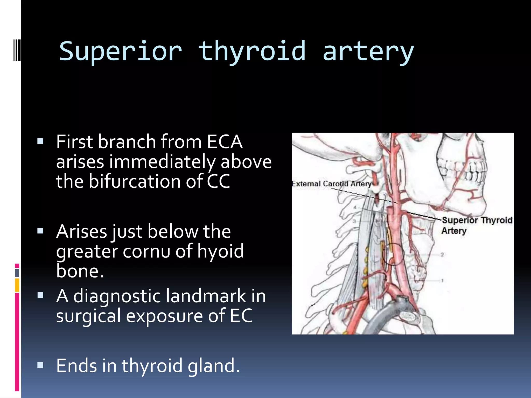 Blood supply of head and neck | PPTX