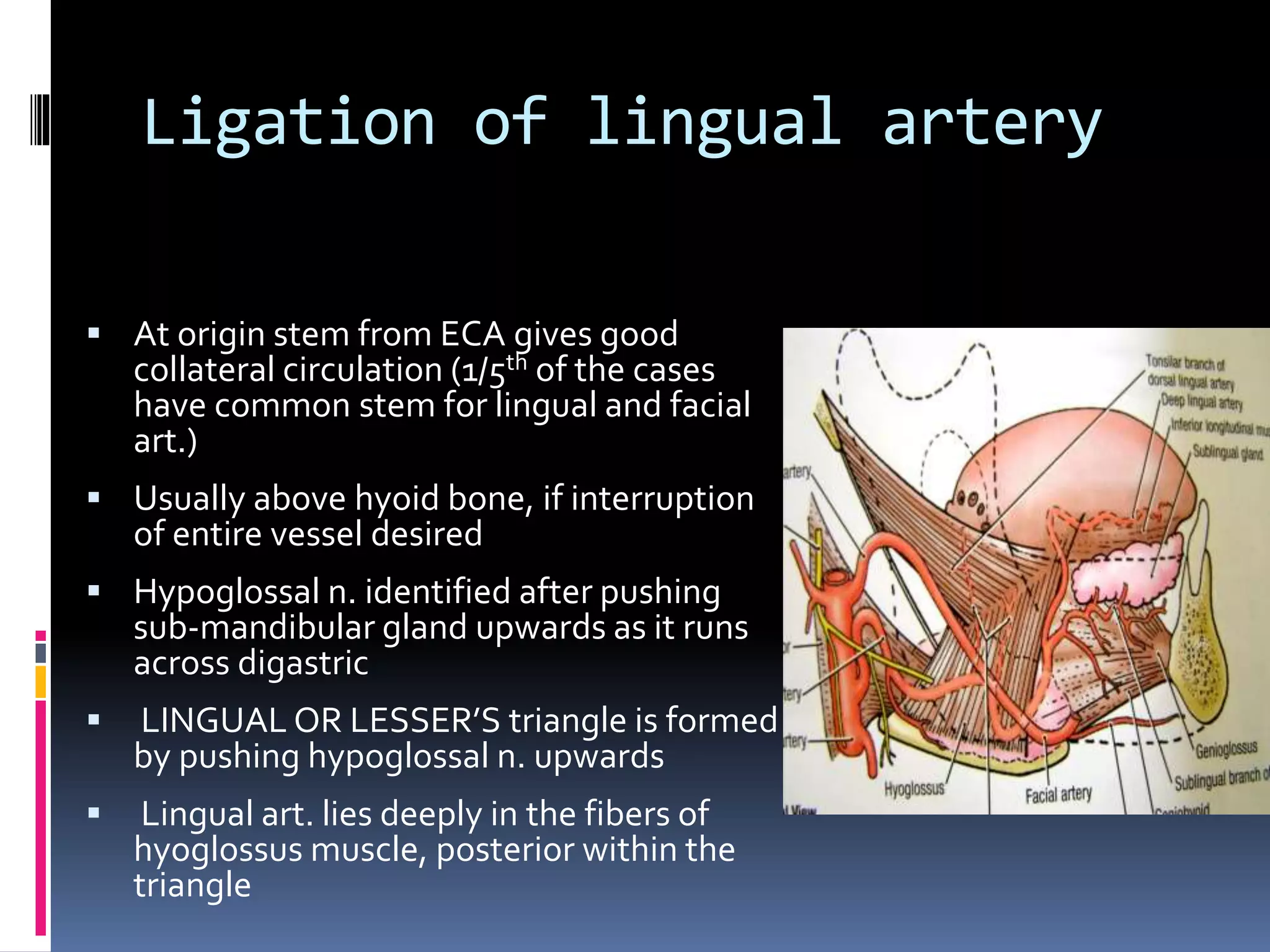 Blood supply of head and neck | PPTX