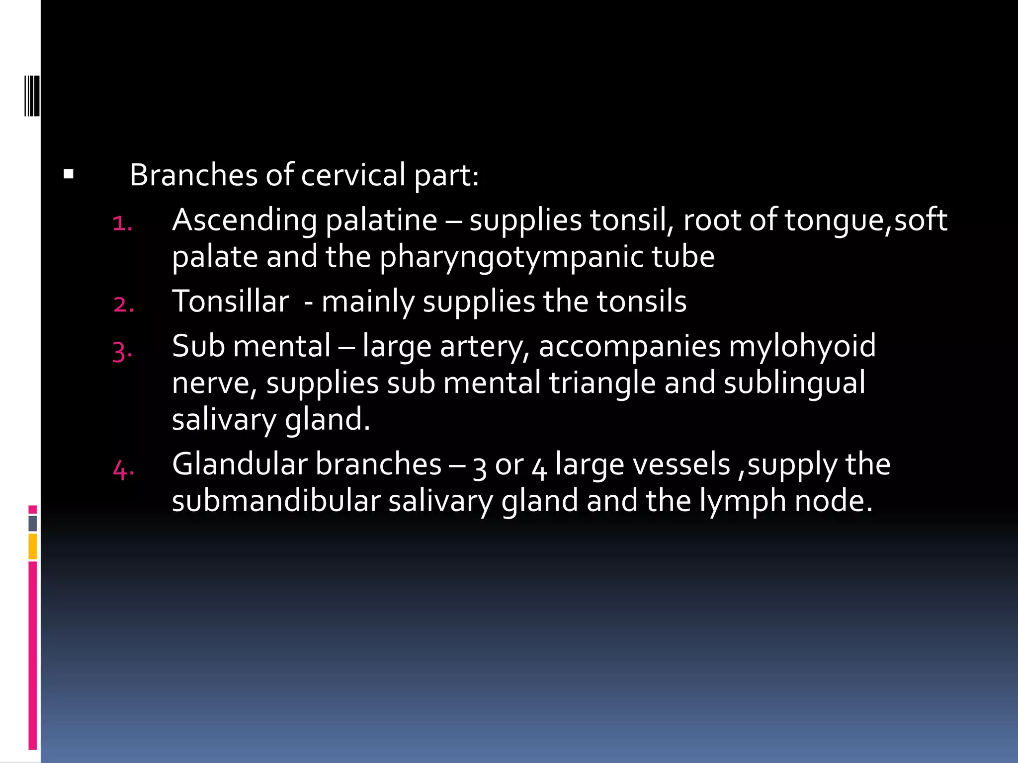 Blood supply of head and neck | PPTX