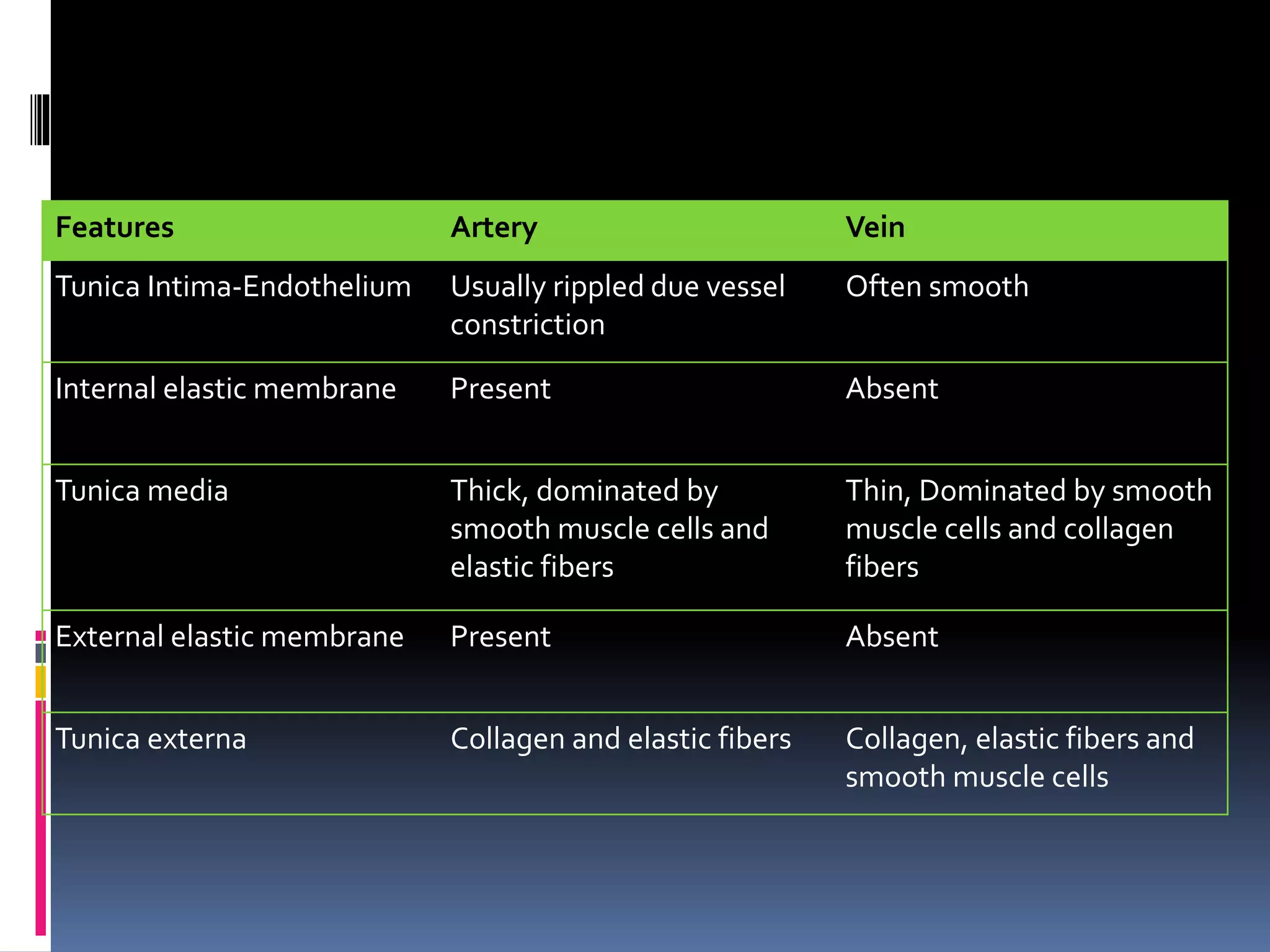Blood supply of head and neck | PPTX