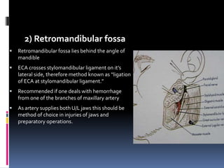 Blood supply of head and neck | PPT