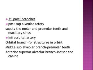 BLOOD SUPPLY OF HEAD & NECK.pptx