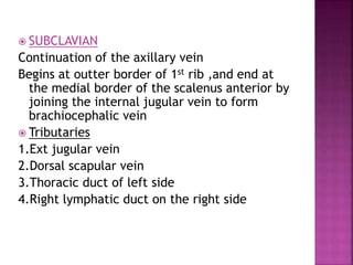BLOOD SUPPLY OF HEAD & NECK.pptx