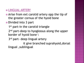 BLOOD SUPPLY OF HEAD & NECK.pptx