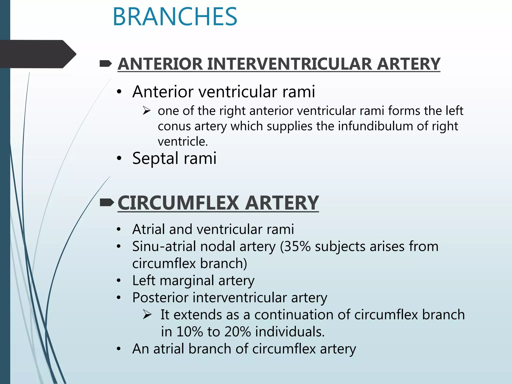 Blood supply of heart | PPTX