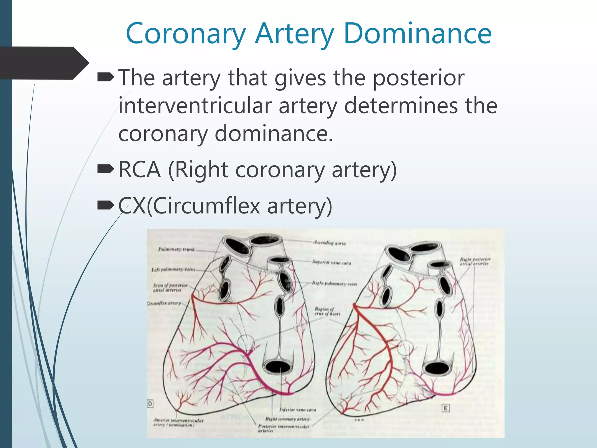 Blood supply of heart | PPTX