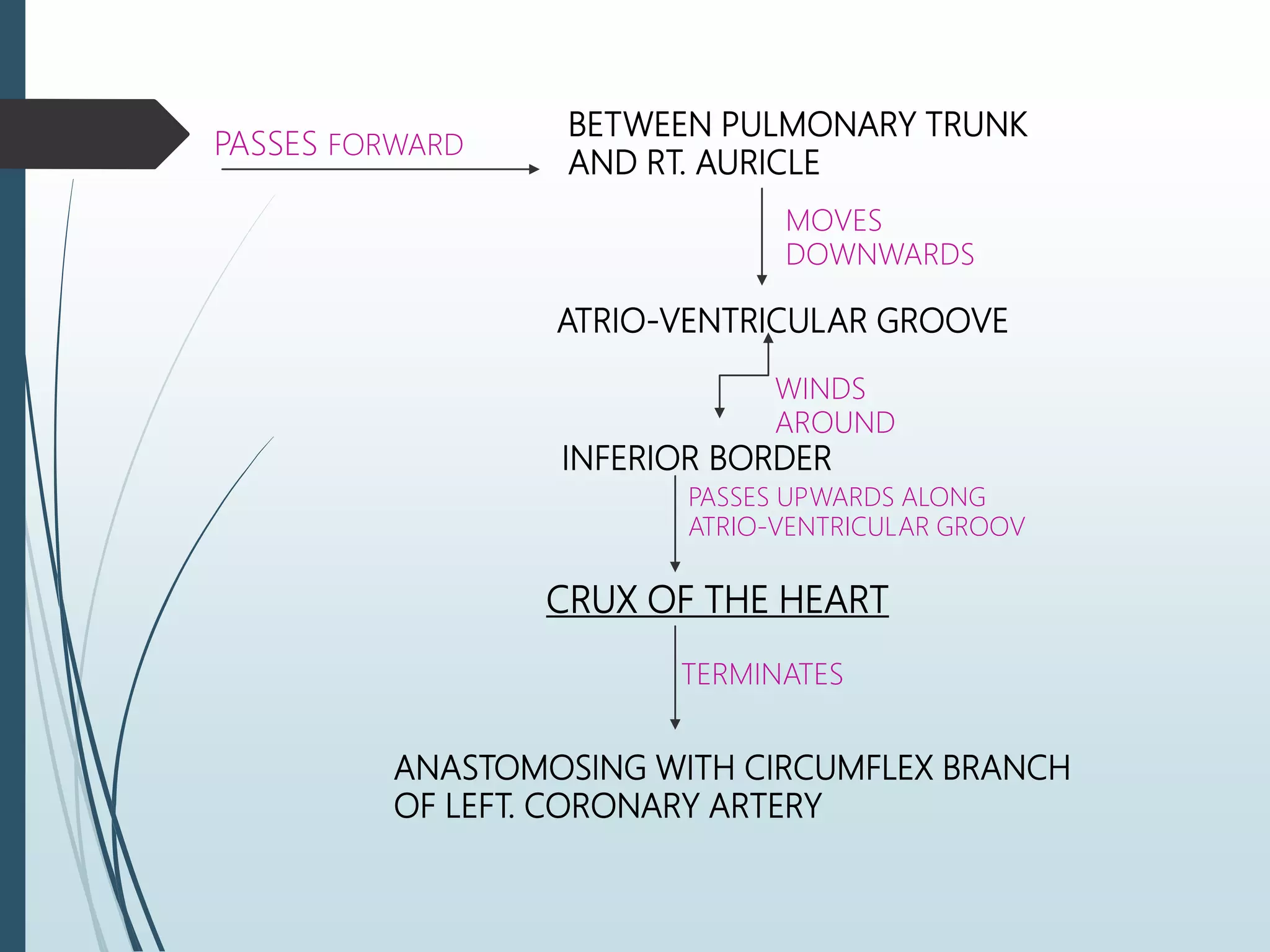 Blood supply of heart | PPTX