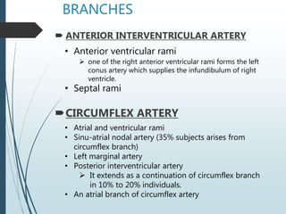 Blood supply of heart | PPTX