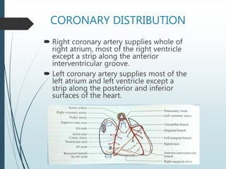Blood supply of heart | PPTX