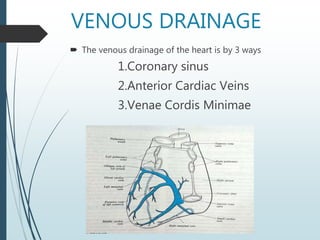 Blood supply of heart | PPTX