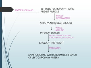 Blood supply of heart | PPTX