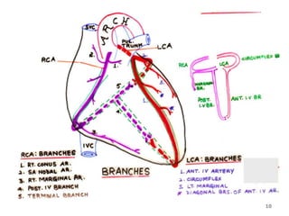 Blood supply of heart.ppt