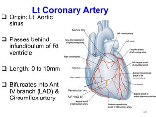 Blood supply of heart.ppt