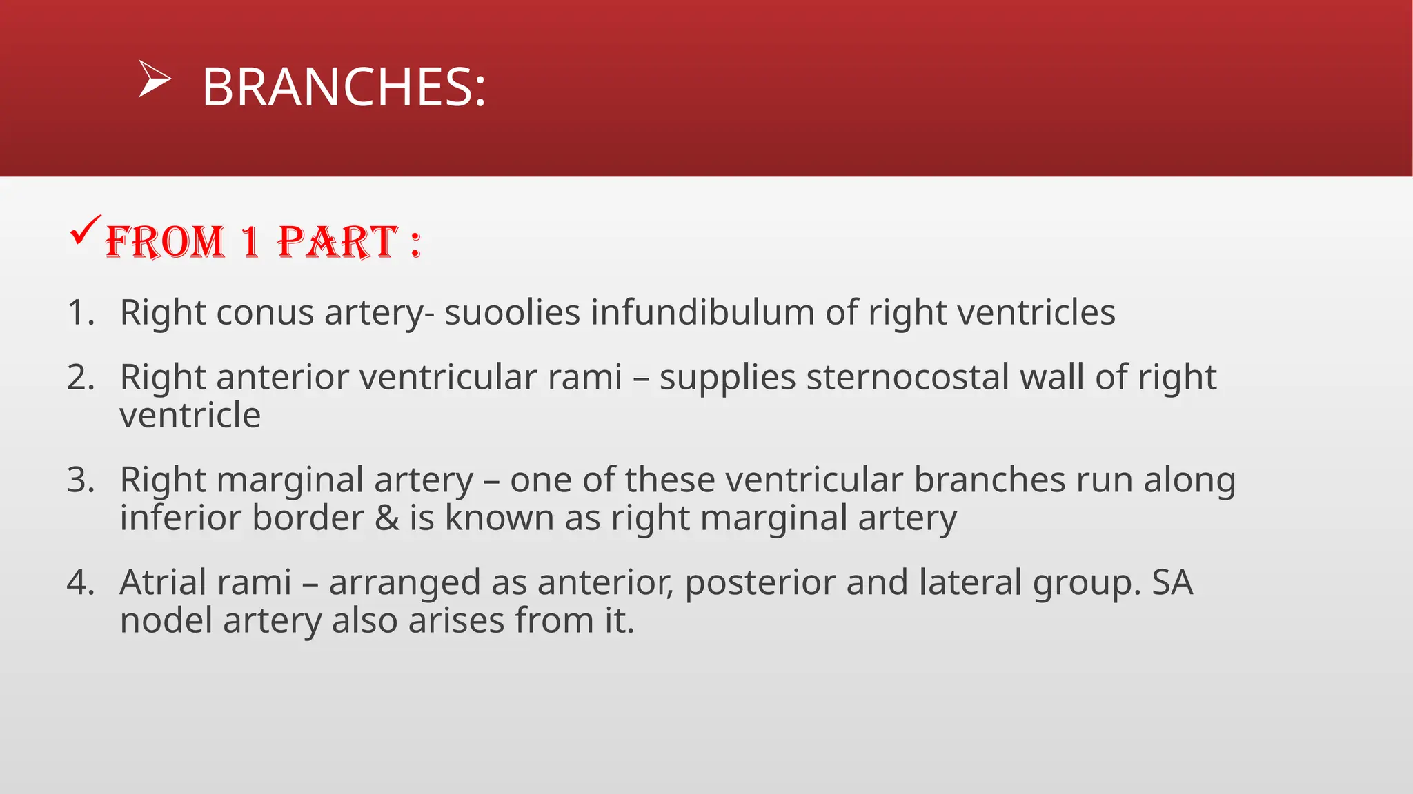 BLOOD SUPPLY OF HEART attack and the people around you respect .pptx