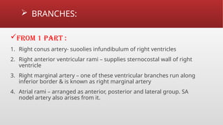 BLOOD SUPPLY OF HEART attack and the people around you respect .pptx