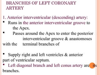 ARTERIAL SUPPLY OF HEART DR VINAY KVS.ppt