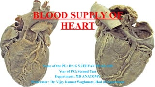 BLOOD SUPPLY OF HEART in humans explained .pptx
