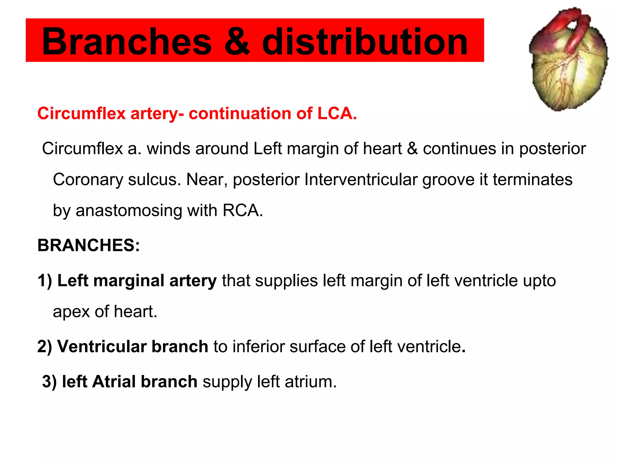 Blood supply of heart | PPT