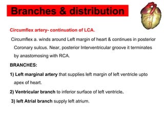 Blood supply of heart | PPT