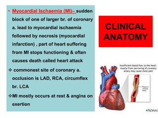 Blood supply of heart | PPT