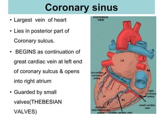 Blood supply of heart | PPT