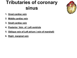 Blood supply of heart | PPT