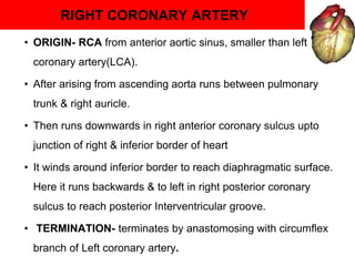 Blood supply of heart | PPT