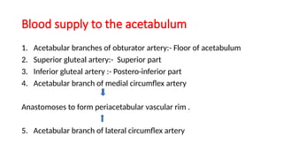 BLOOD SUPPLY OF HIP AND SHOULDER JOINT.pptx