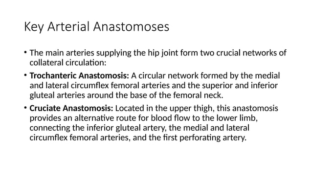 BLOOD SUPPLY OF HIP AND SHOULDER JOINT(1).pptx