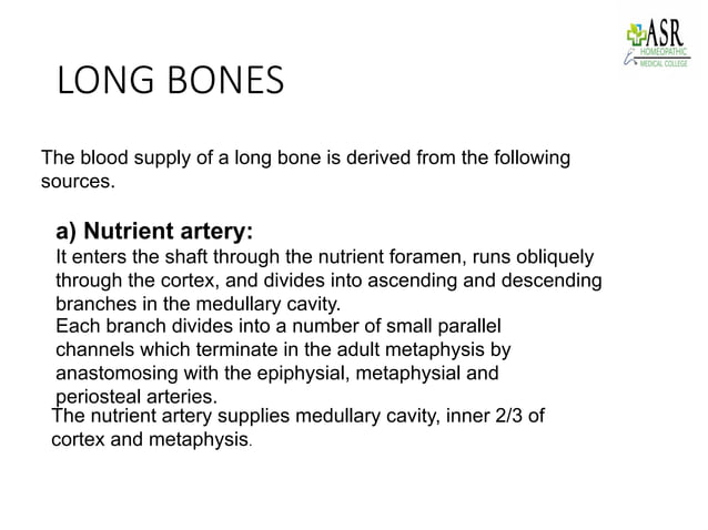 BLOOD SUPPLY OF LONG BONES | PPT