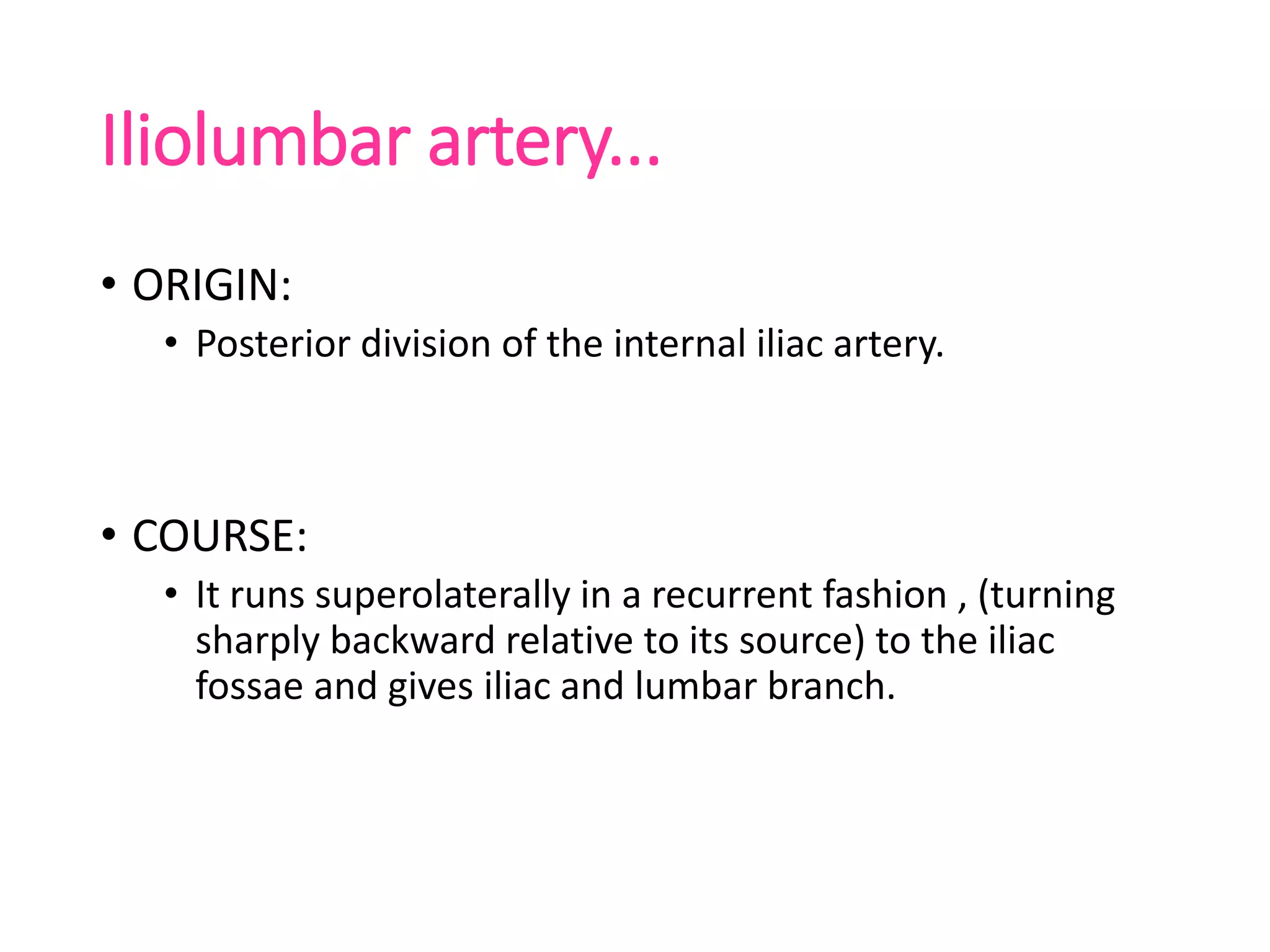 Blood supply of female pelvis. | PPTX