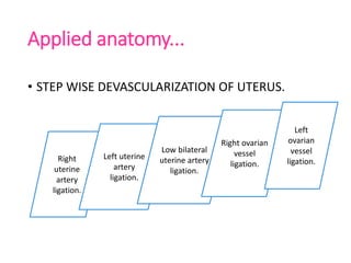 Blood supply of female pelvis. | PPTX