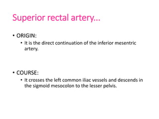 Blood supply of female pelvis. | PPTX