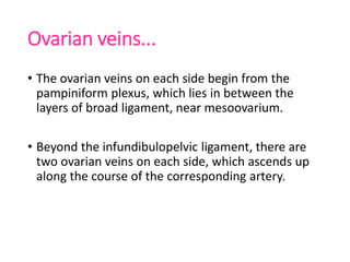 Blood supply of female pelvis. | PPTX