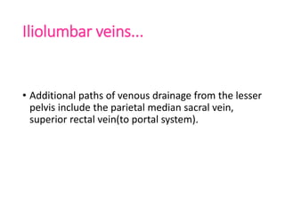 Blood supply of female pelvis. | PPTX