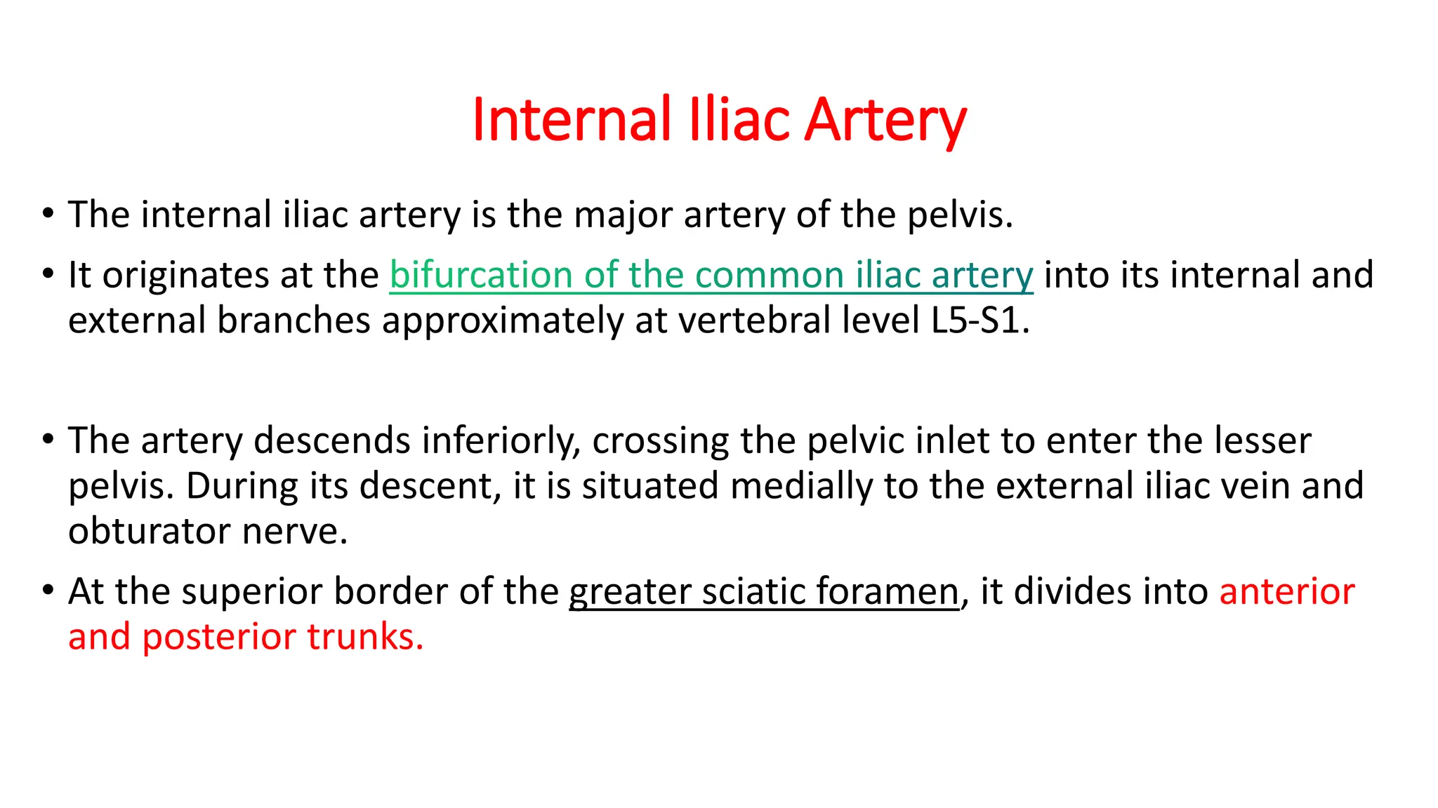 Arterial Supply and Venous Drainage of Pelvis.pptx