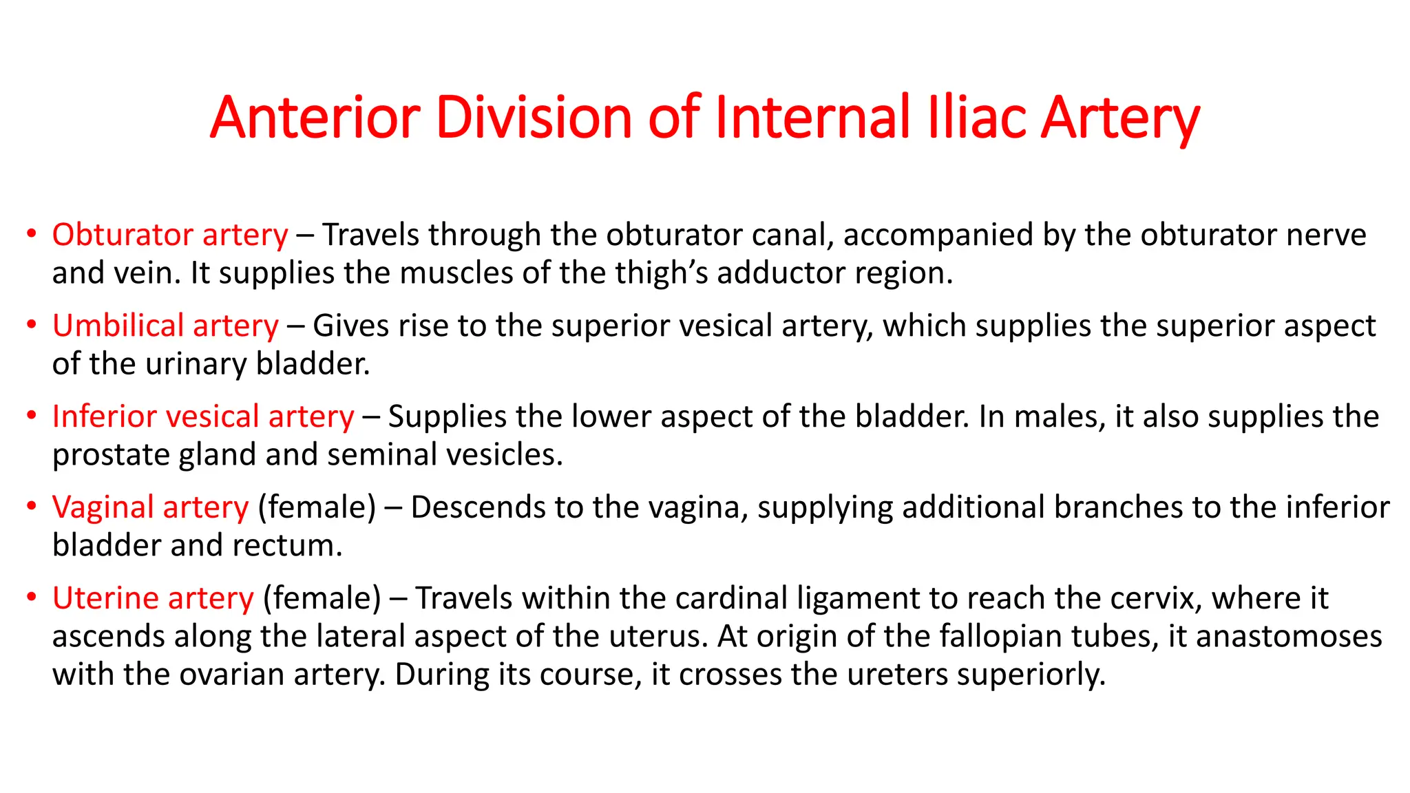 Arterial Supply and Venous Drainage of Pelvis.pptx