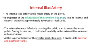 Arterial Supply and Venous Drainage of Pelvis.pptx