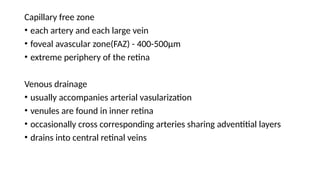 Blood supply of retina, optic nerve head | PPTX