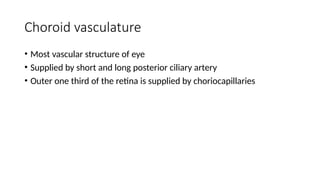 Blood supply of retina, optic nerve head | PPTX