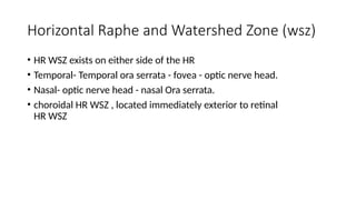 Blood supply of retina, optic nerve head | PPTX
