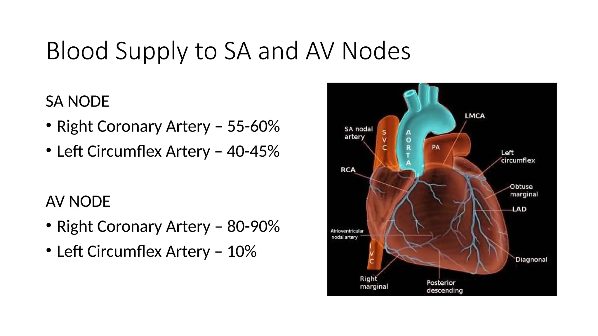 Blood Supply of SA and AV Nodes and Inferior Wall MI.pptx