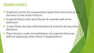 Blood supply of scaphoid and scaphoid fractures.pptx